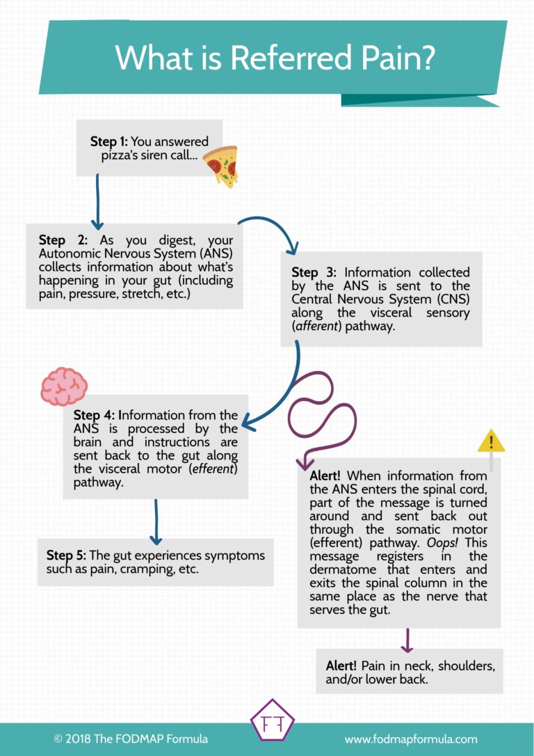 What Is Referred Pain? - The FODMAP Formula